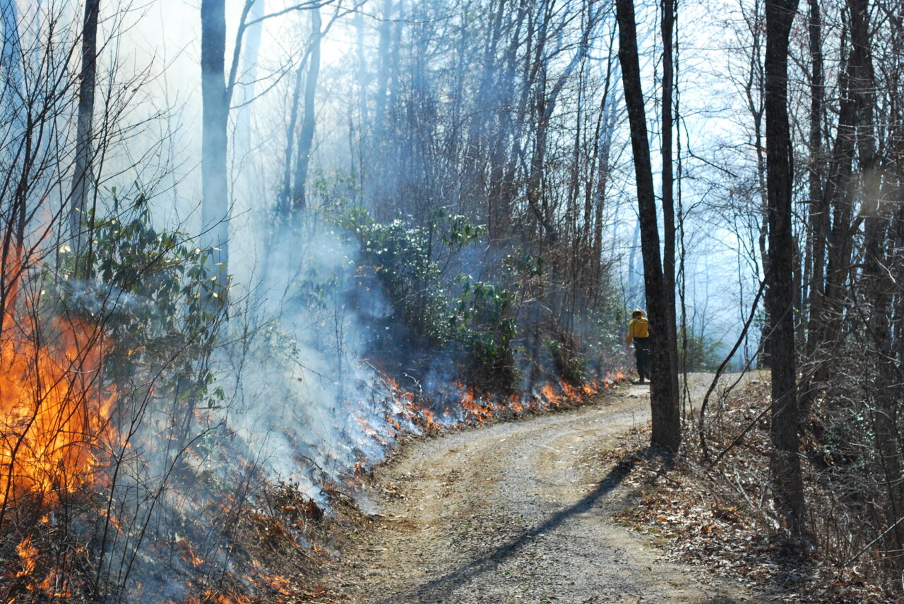 A new 'geography of fire' defines southern US wildfire risk