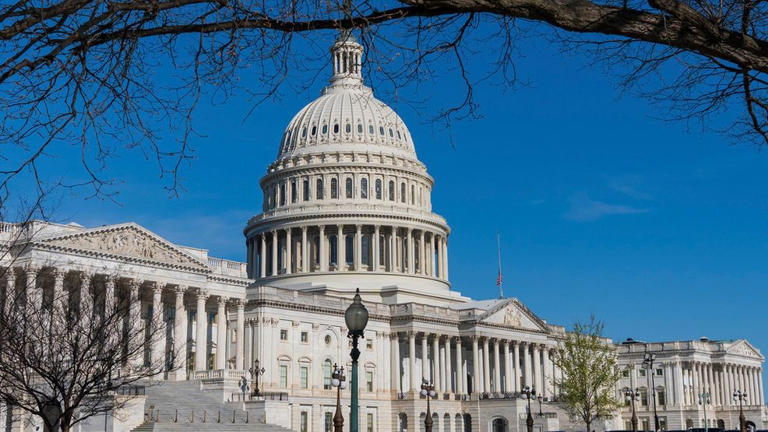 Beyond the Podium: An inside look at the 119th Congress