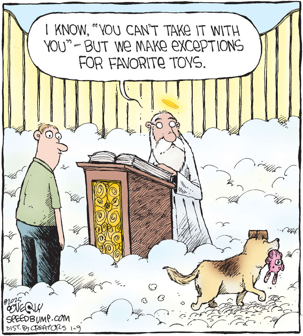 The Best Dog Comics From "Speed Bump" by Dave Coverly