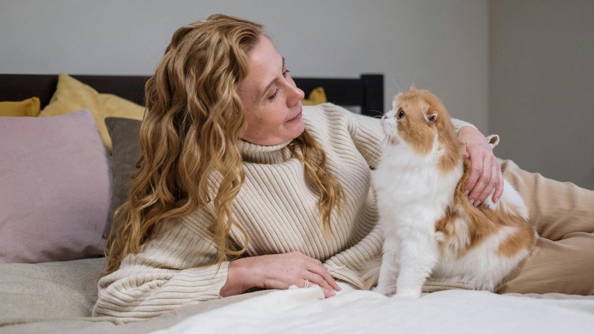 10 signs that you're your cat's favorite human,according to experts