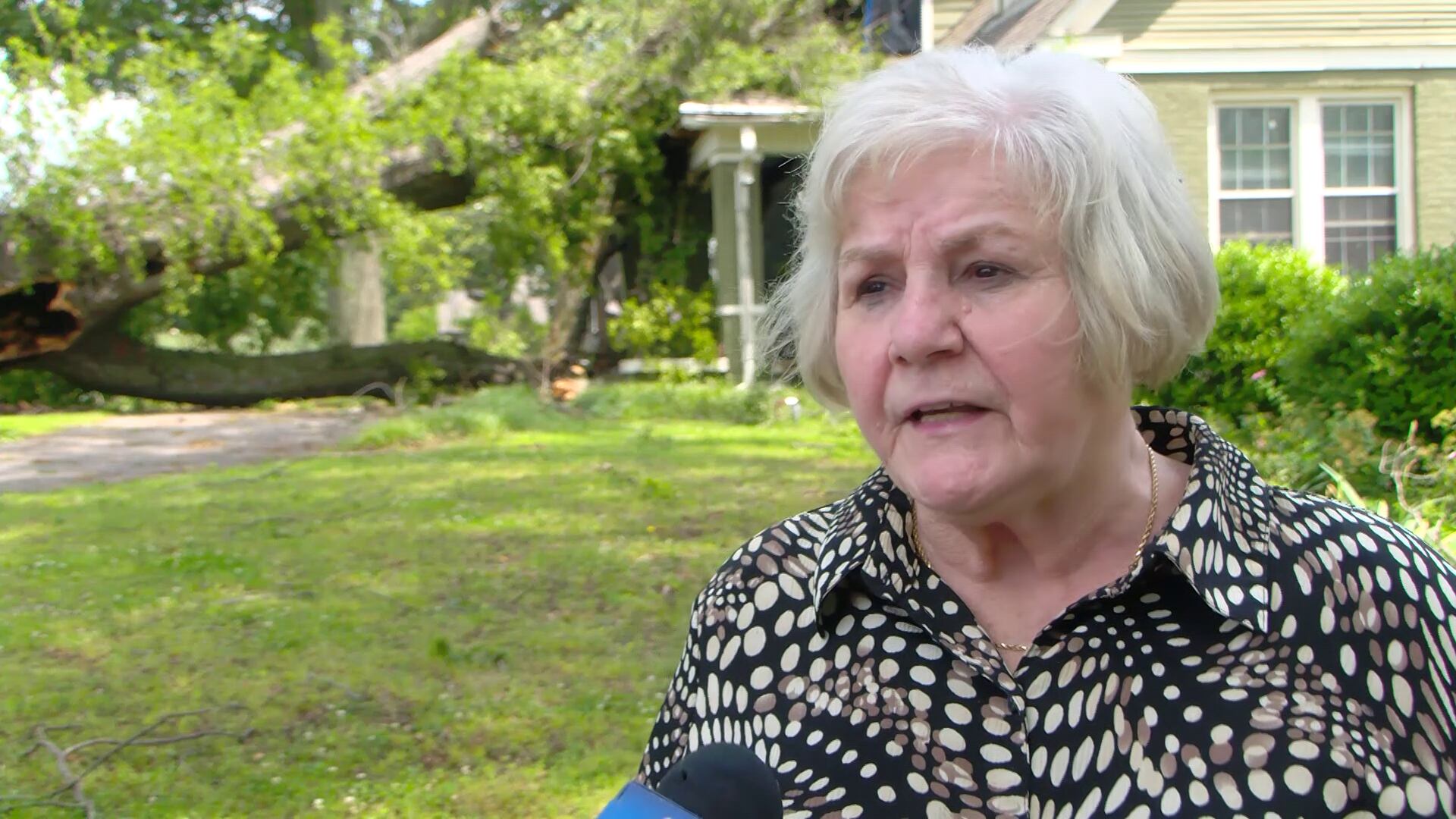 ‘I’ve never gotten as scared as this’: Hernando resident recalls ...