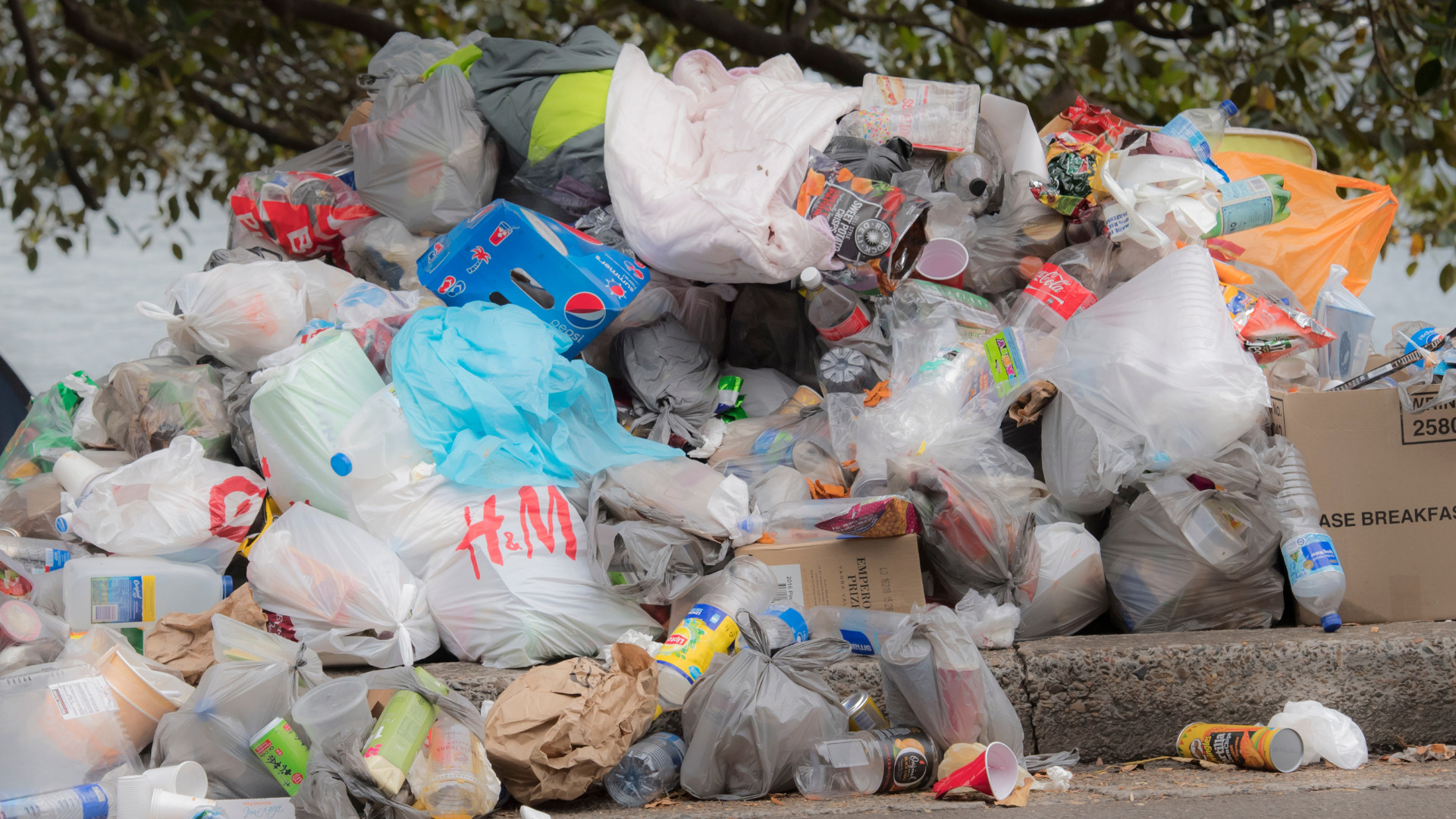 NSW government to approve new waste facility