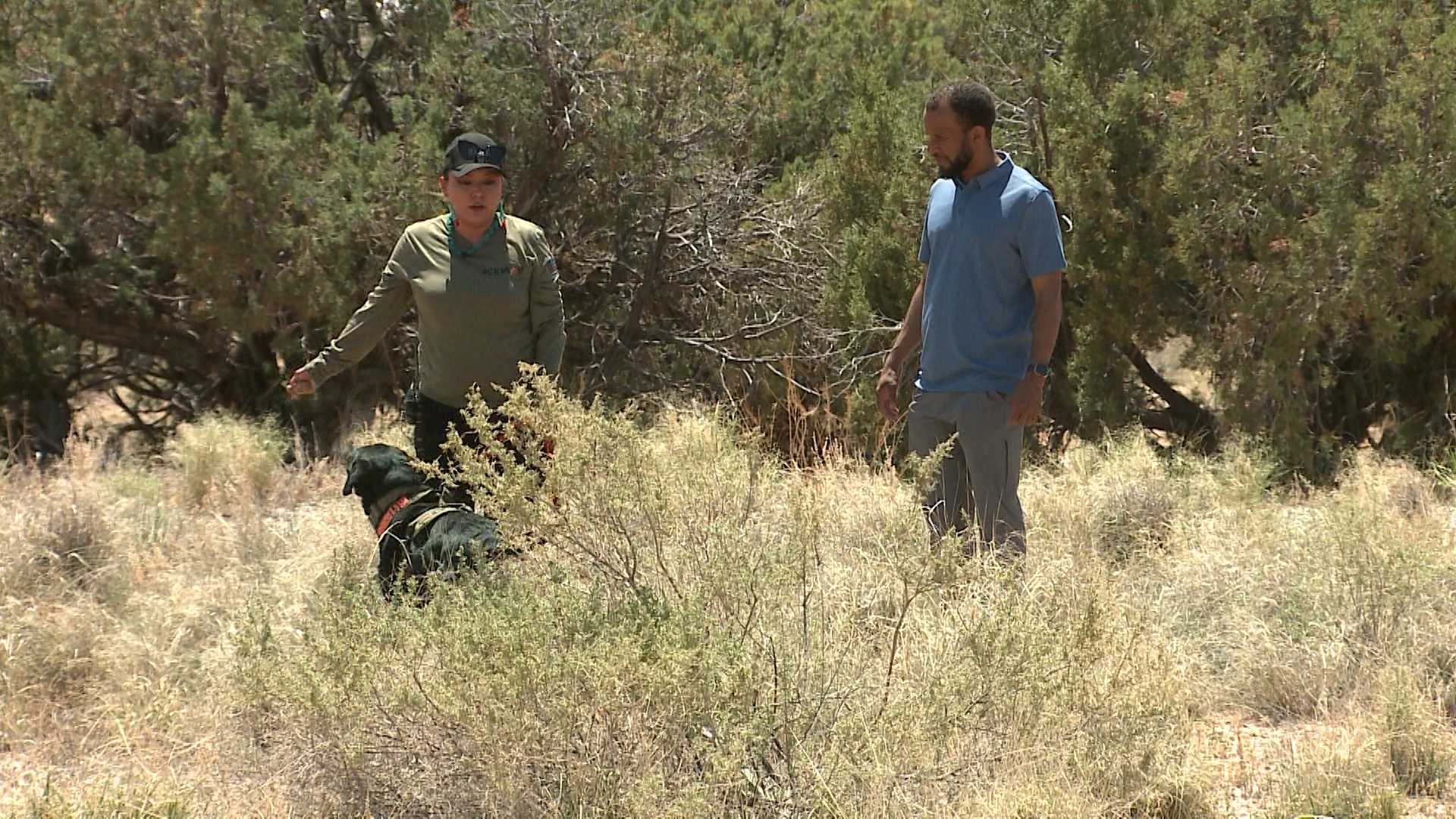 4Corners K9 Search and Rescue assisting families looking for missing ...