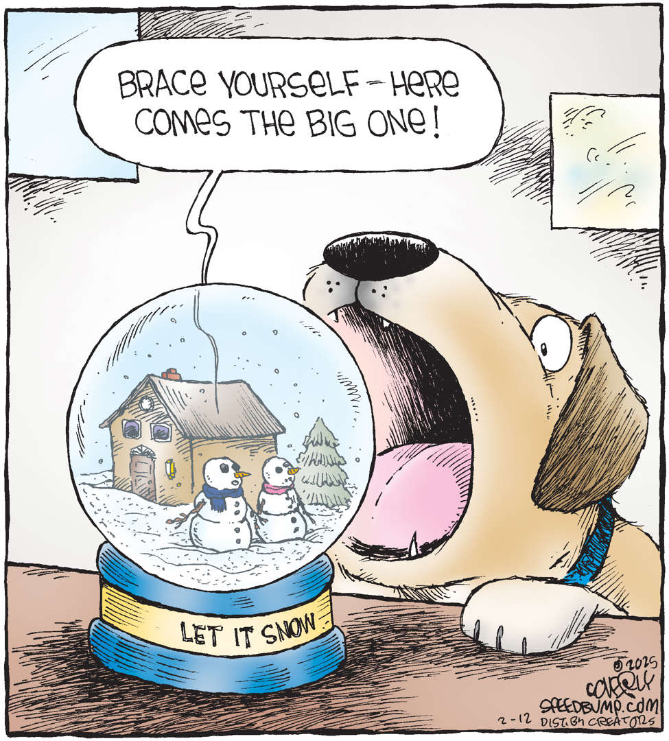 The Best Dog Comics From "Speed Bump" by Dave Coverly