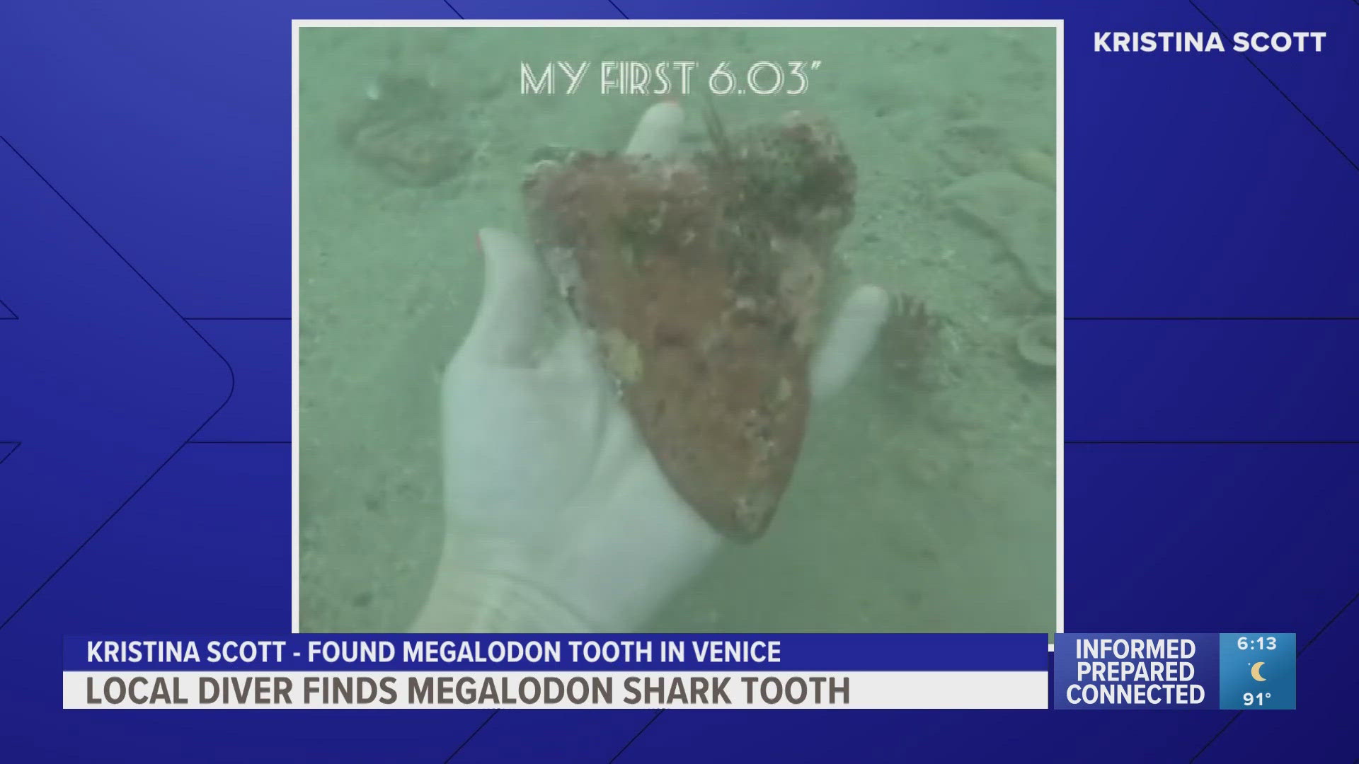 Woman finds megalodon tooth off coast of Venice while scuba diving
