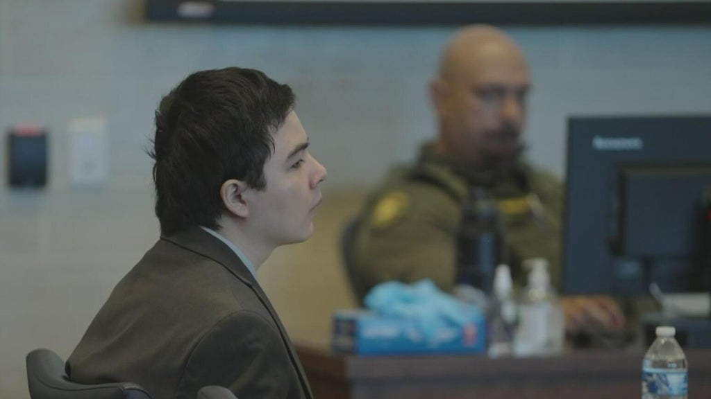Family of accused Davis serial stabber Carlos Dominguez testifies in court