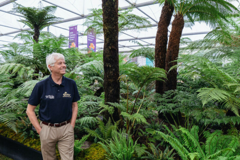 Irish gardener wins third gold medal at Chelsea Flower Show
