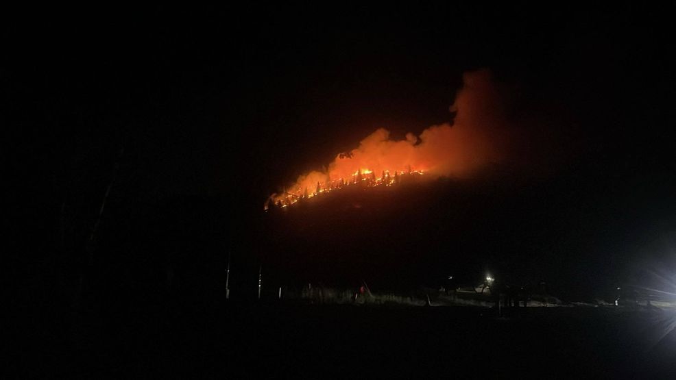 Firefighters work to control Spring Fire in City of Mount Shasta ...