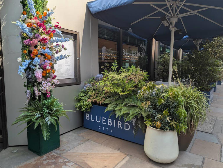 Bluebird City - City of London