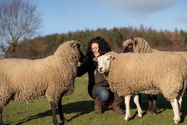 'My sheep bring joy to people in despair through extraordinary kind of therapy'