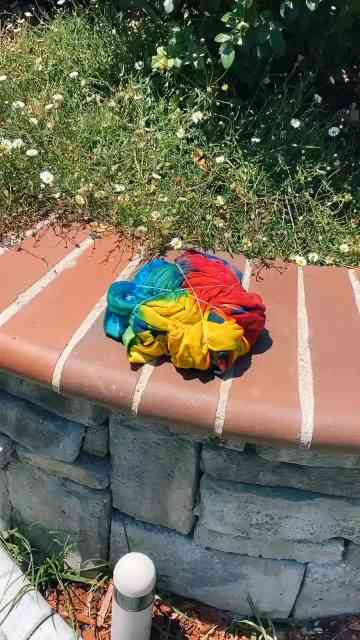 This Turned Out So Good — The Results Will Blow You Away