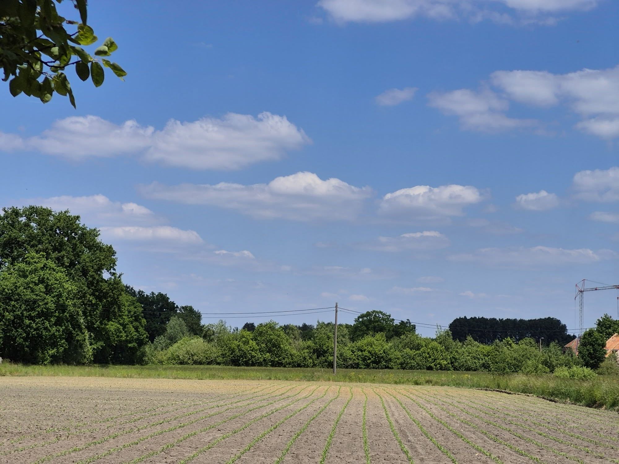 Weerman Samuel ziet het gevoelig frisser worden