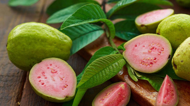 Guía definitiva para el cuidado y cultivo del árbol de guayaba