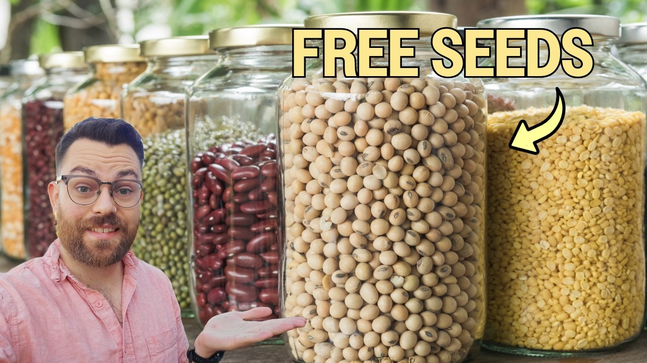 The Easiest Crops To Grow For Free