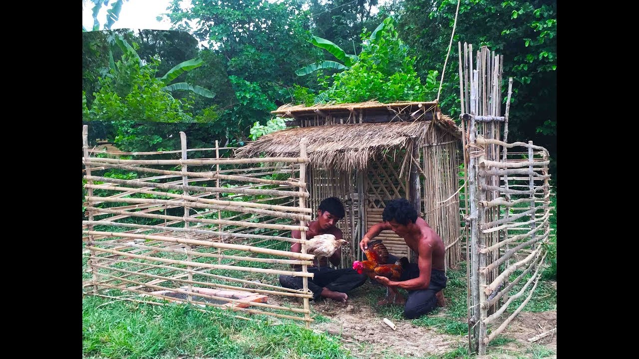 Building a Chicken House