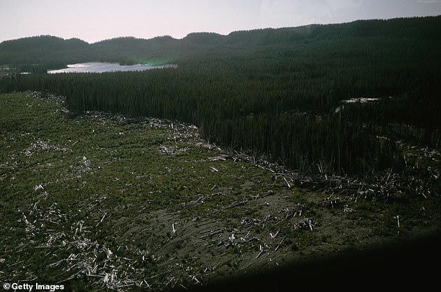 Experts issue urgent warning over 1,000ft tall 'mega tsunami' set to ...