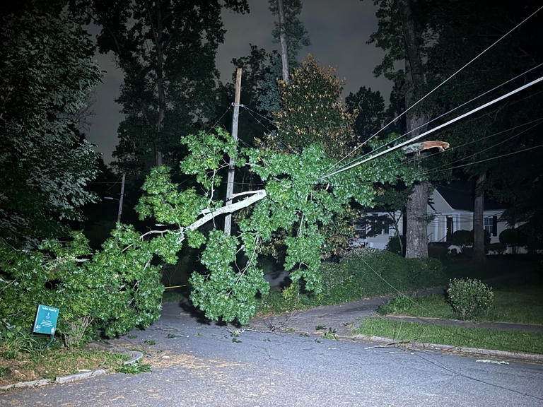 Tree falls on power lines in Morningside neighborhood near Homestead ...