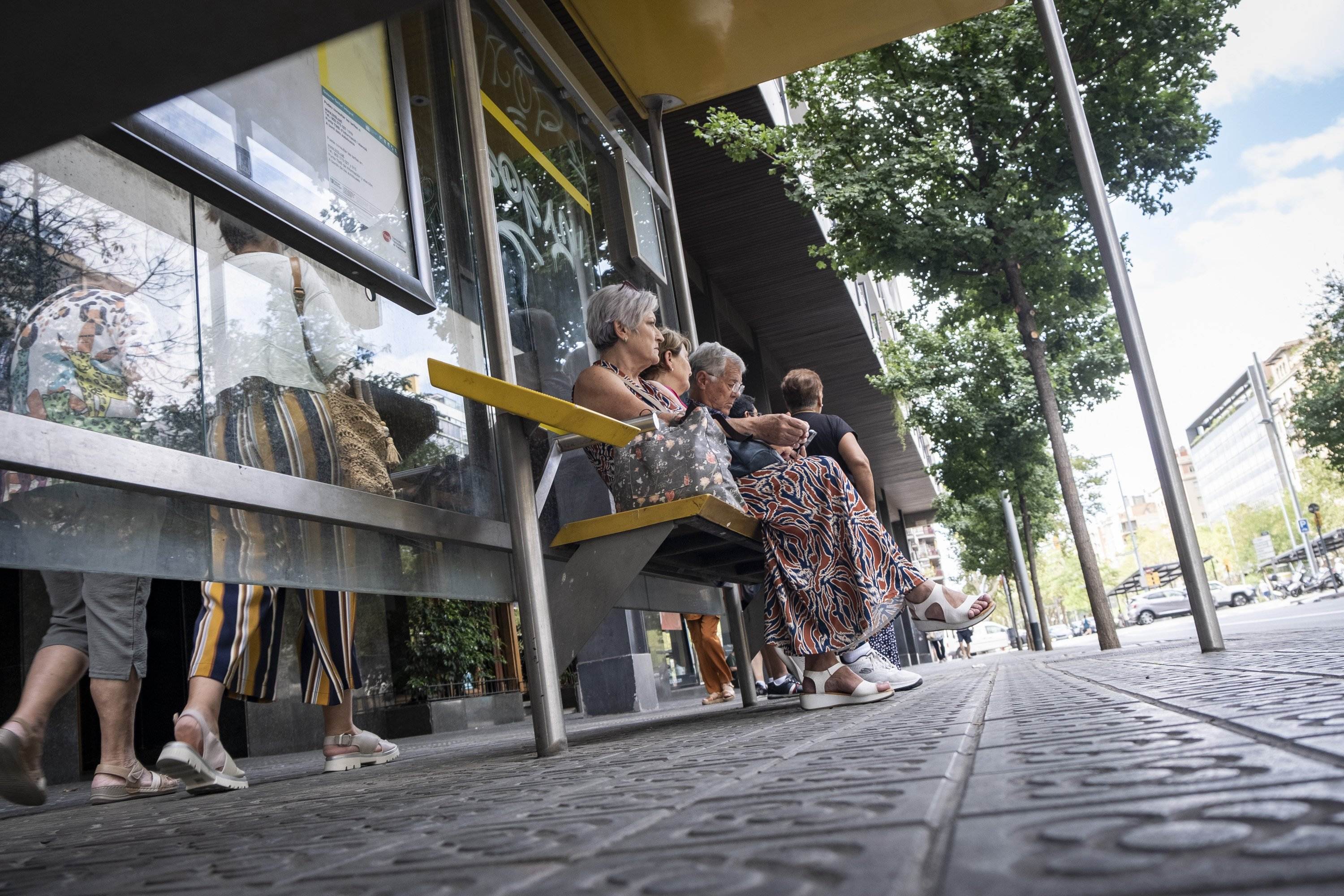 Una nueva línea de bus hará un recorrido similar a la esperada ...