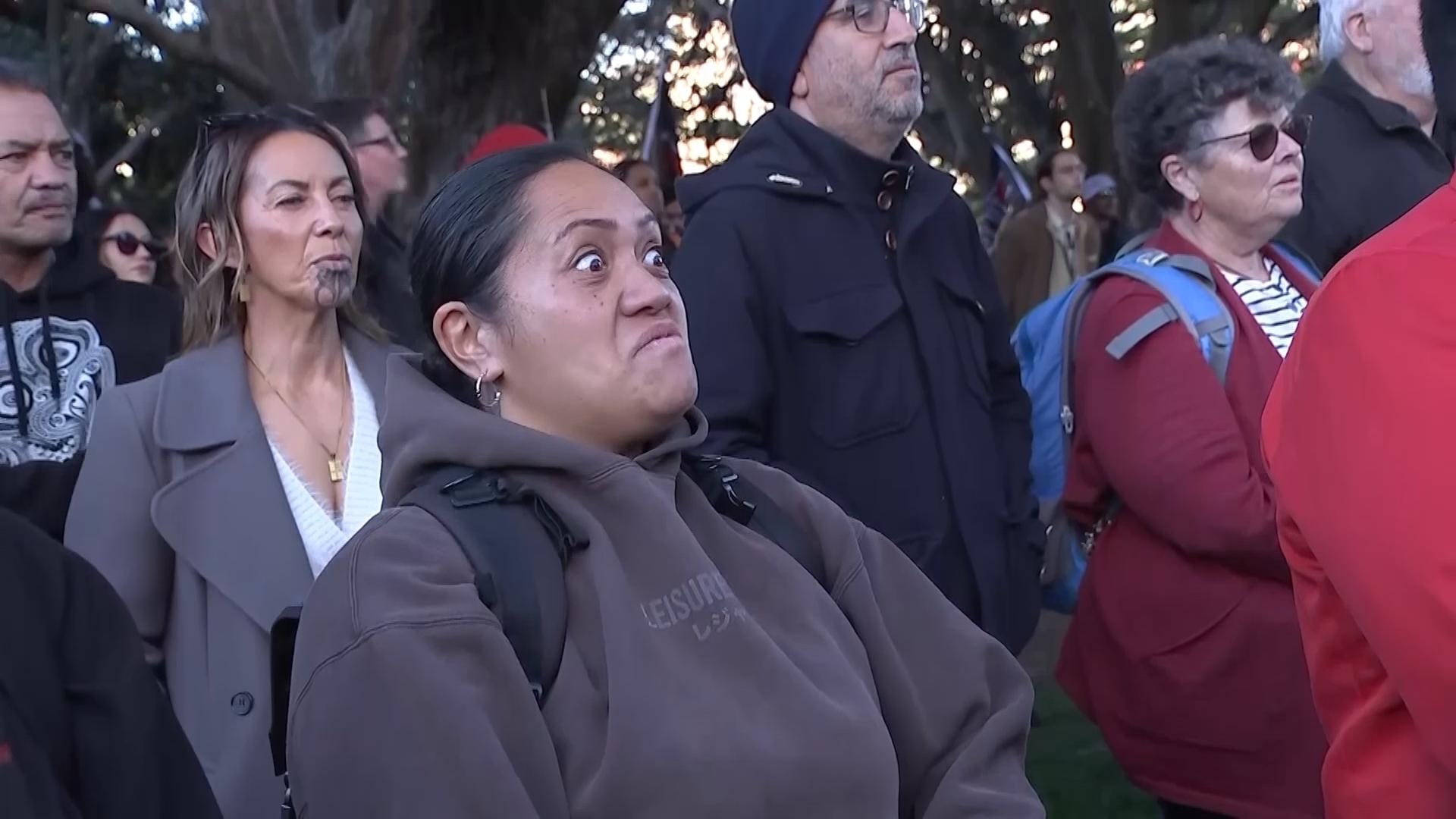 Protest outside Parliament as vote on ban for haka protest M?ori party ...