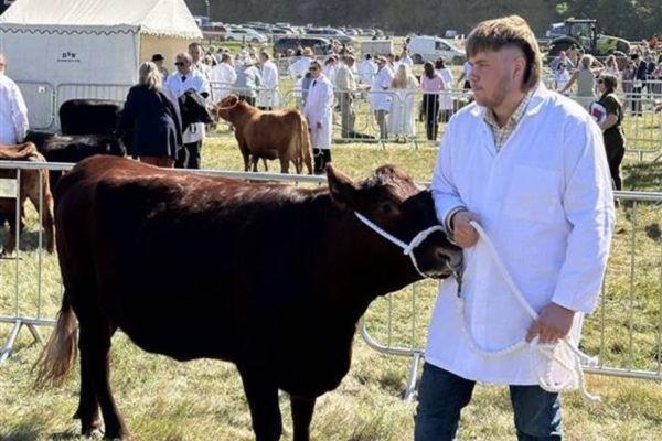 Shuttleworth College cattle and students shine at South Suffolk Show