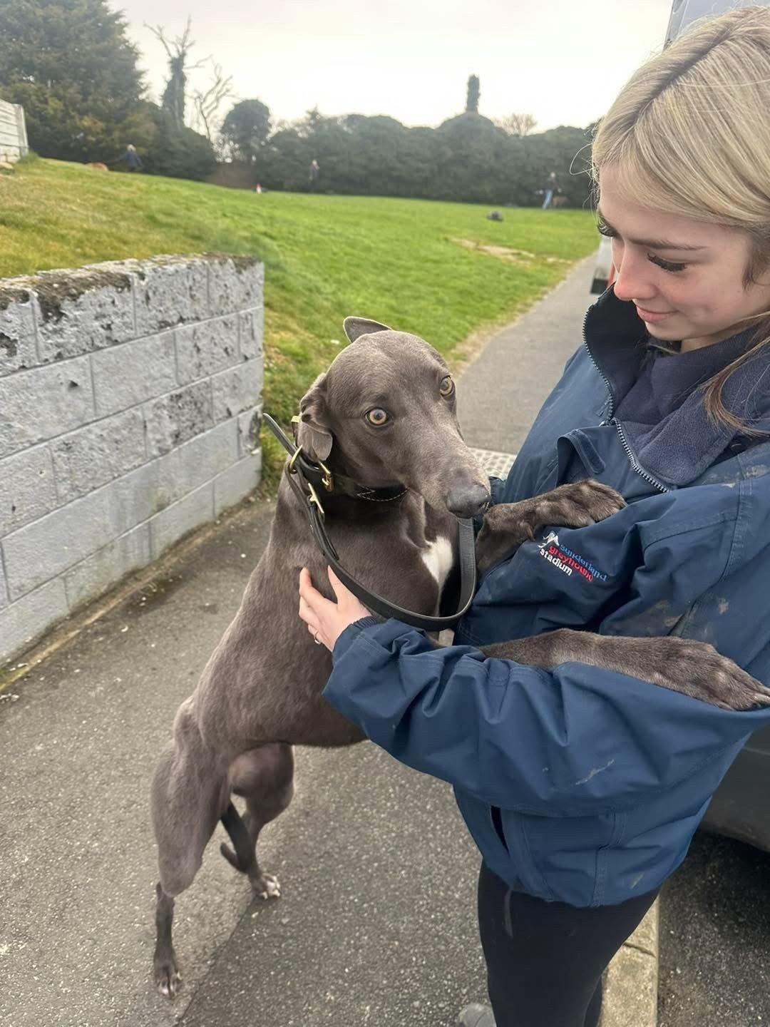 Two young Sunderland kennelhands determined to show greyhound racing is ...