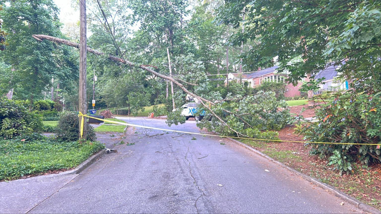 Tree falls on power lines in Morningside neighborhood near Homestead ...