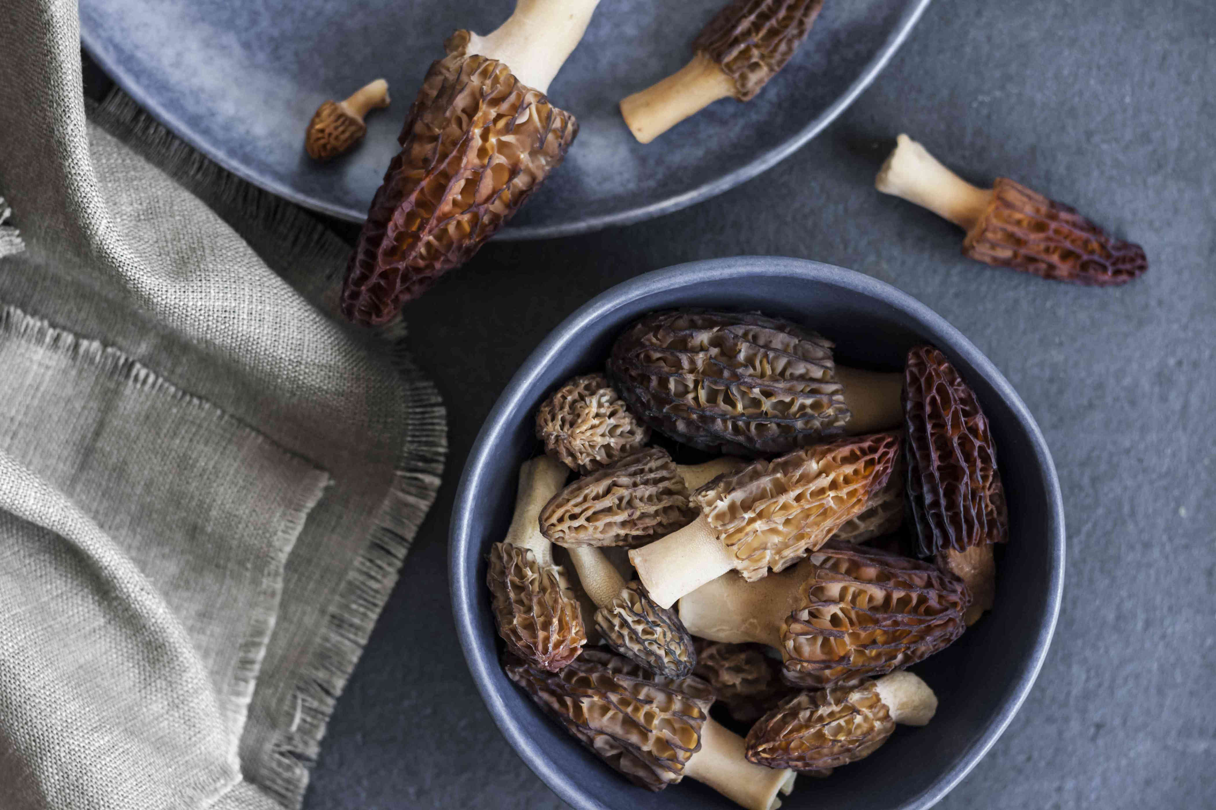 How to Prep and Cook Morels, the Spring Delicacy Chefs Wait All Year For