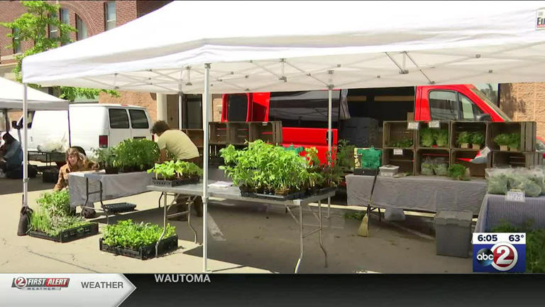 Green Bay’s Saturday Farmers Market adds vendors, new features this year