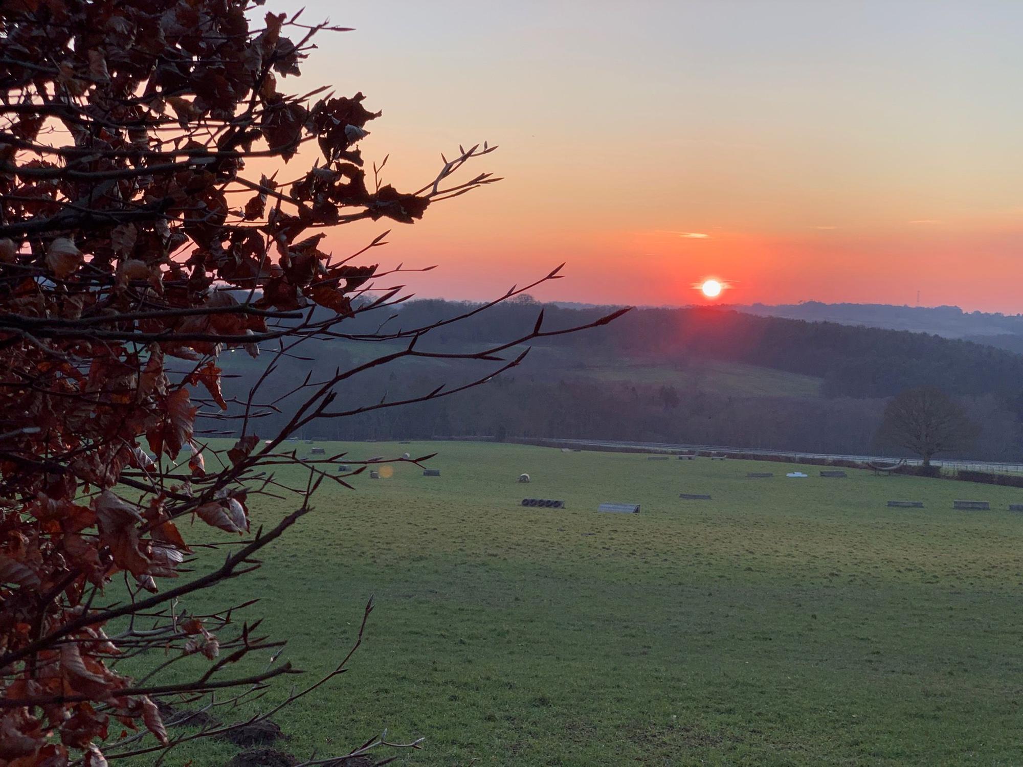 Ashdown Forest after dark