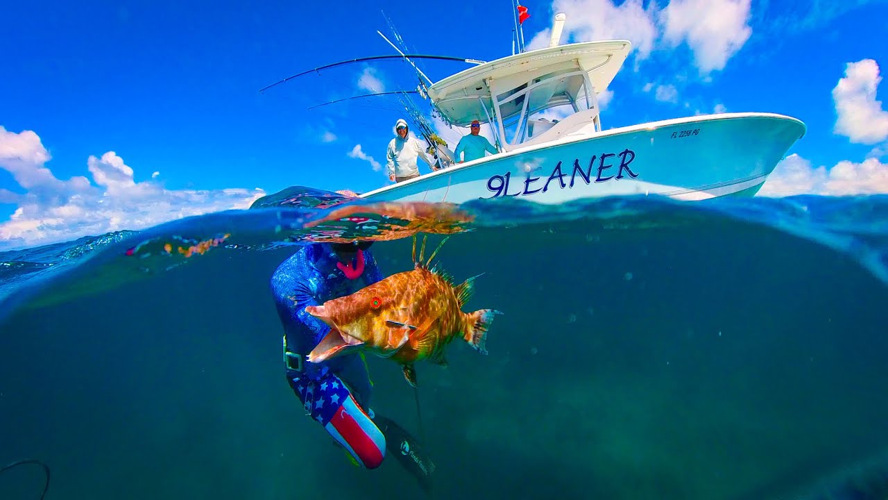 Spearfishing dinner after a rough day at sea