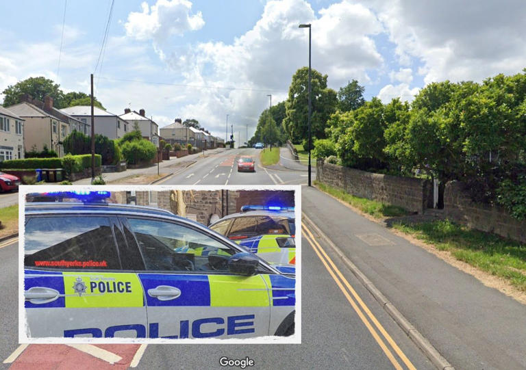 Richmond Road incident: Police describe car crash which brought air ...