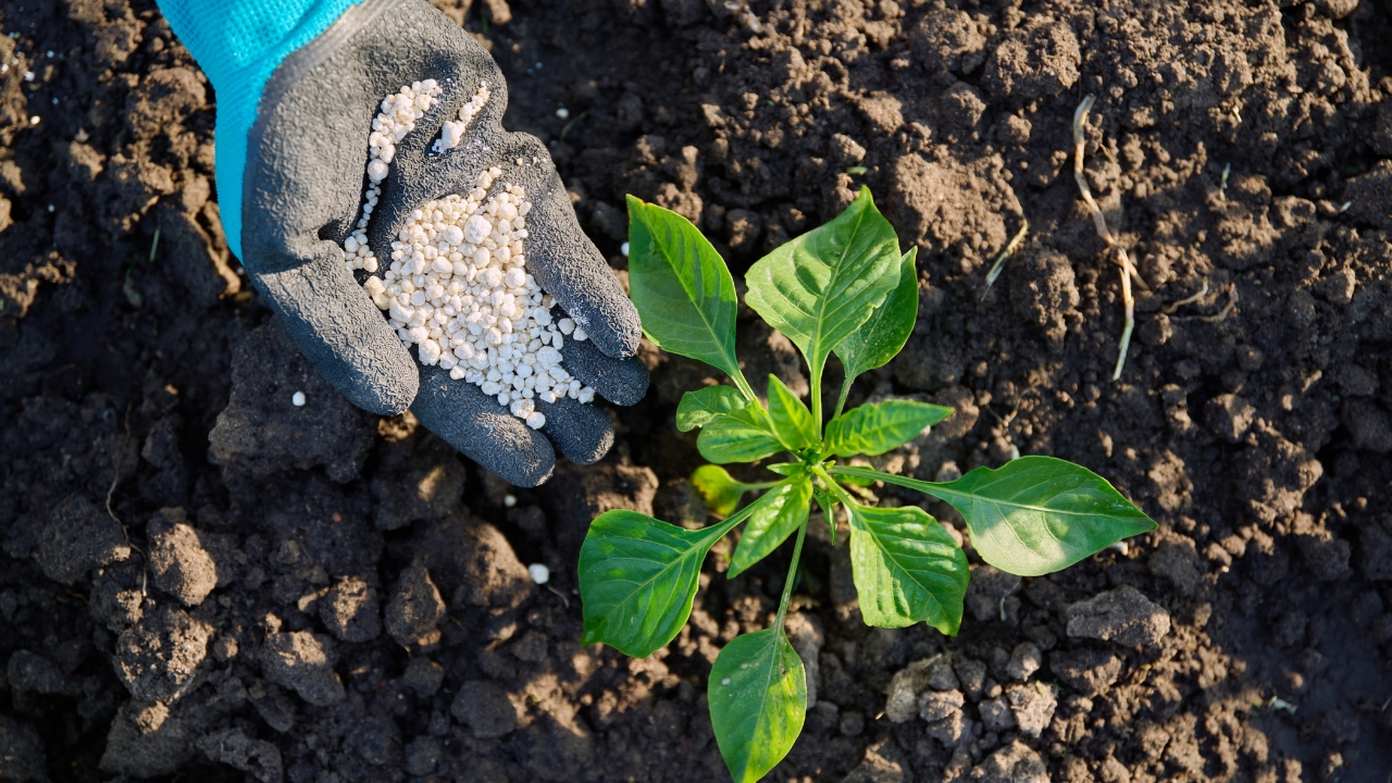 9 soil mistakes that ruin a garden long-term