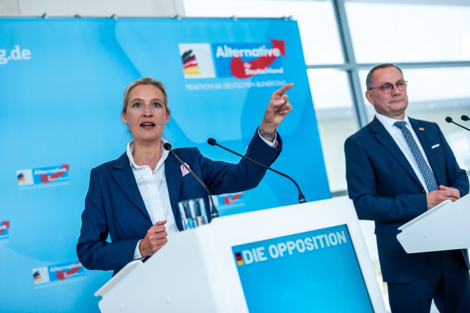 Evidence to ban far-right AfD lacking, says German interior minister