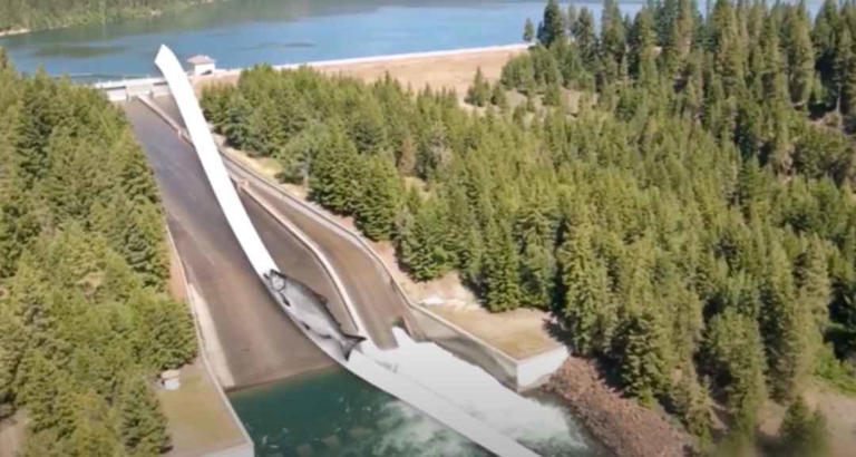 Scientists built this salmon cannon to shoot fish over dams (video)