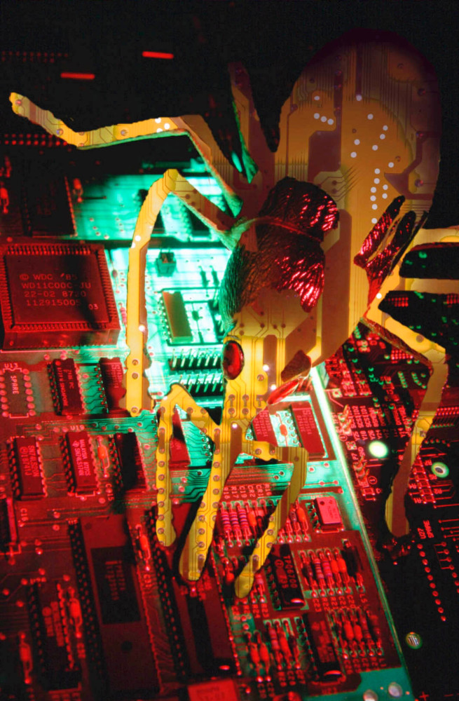 What is the Decade of Disruptions?