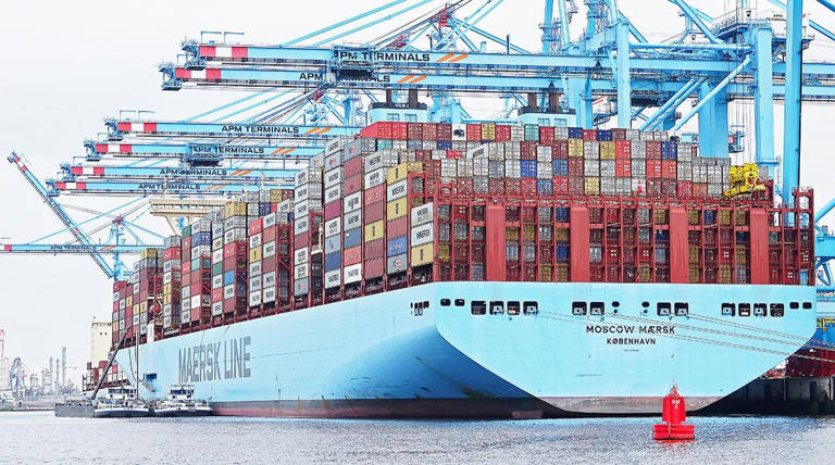 Container trade stable as industry adapts