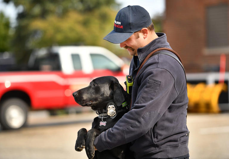 Beloved Auburn Fire K9 Riggs dies unexpectedly; funeral procession planned