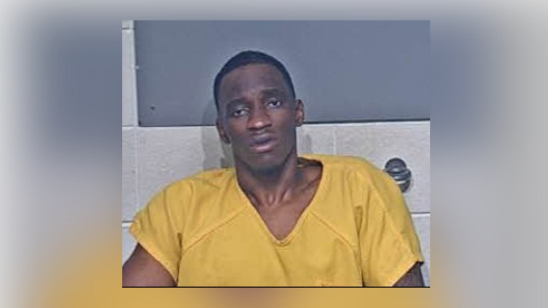 Stockbridge murder suspect accused of robbery before starting chase in ...