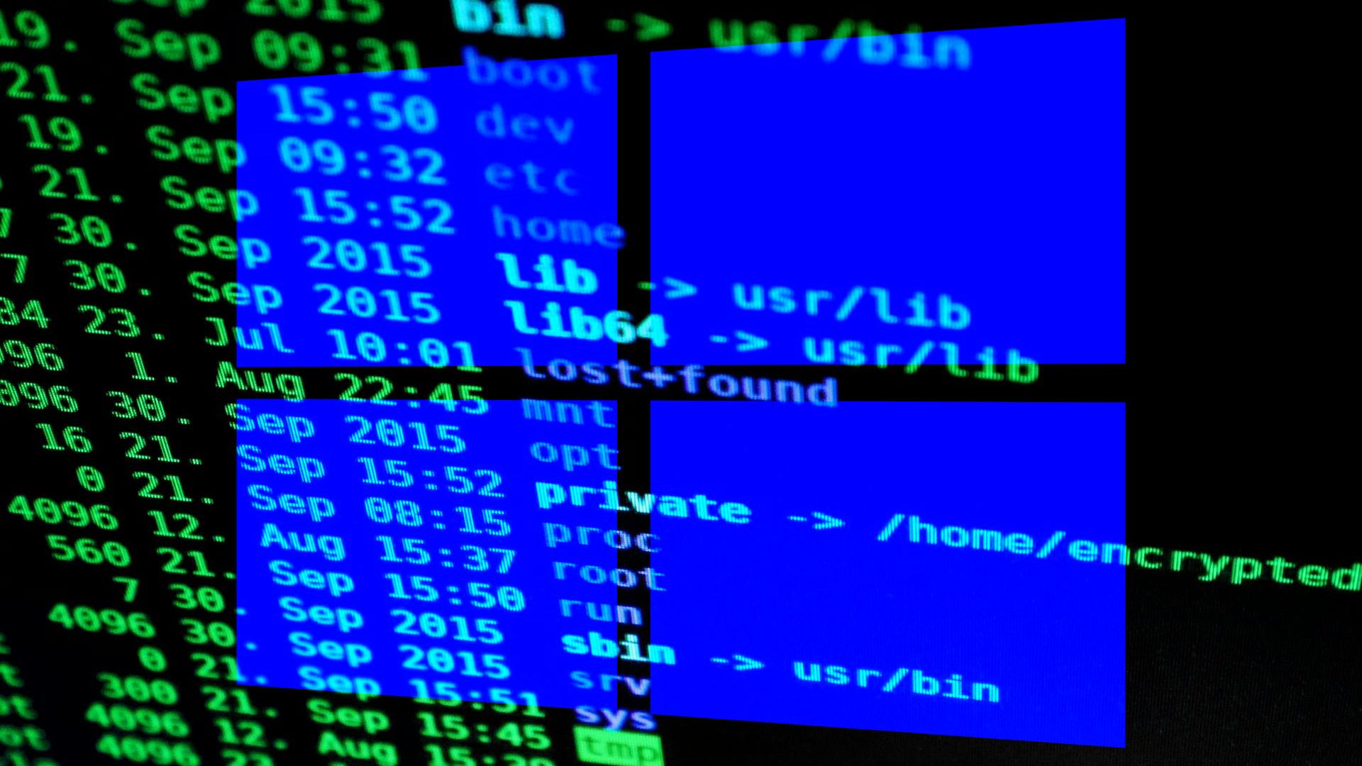 Microsoft makes the Windows Subsystem for Linux open source after ...