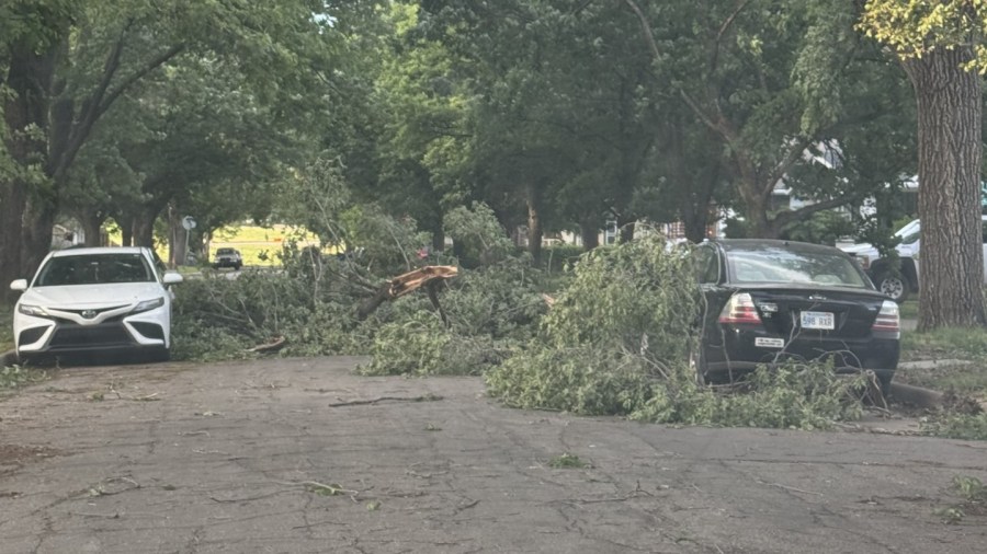 High wind damages trees, knocks out power in Wichita area