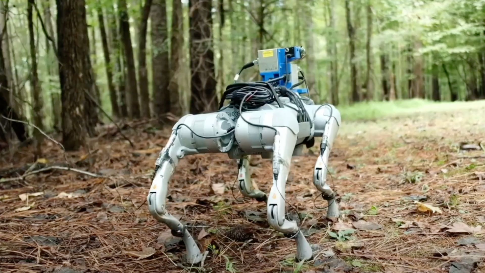 US robot dog navigates like humans in tough terrain with AI-powered ...