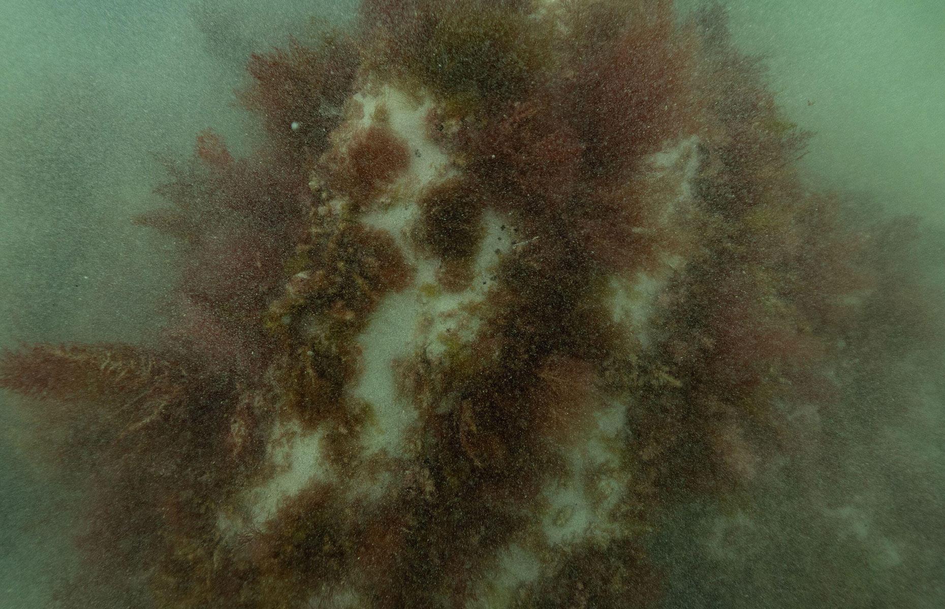The most beautiful and haunting shipwrecks from across the globe
