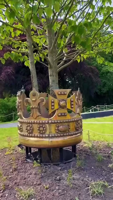 Amphitheatre for a Tree opening