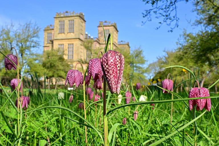 12 sunny day picnic spots in Derbyshire and the Peak District perfect ...