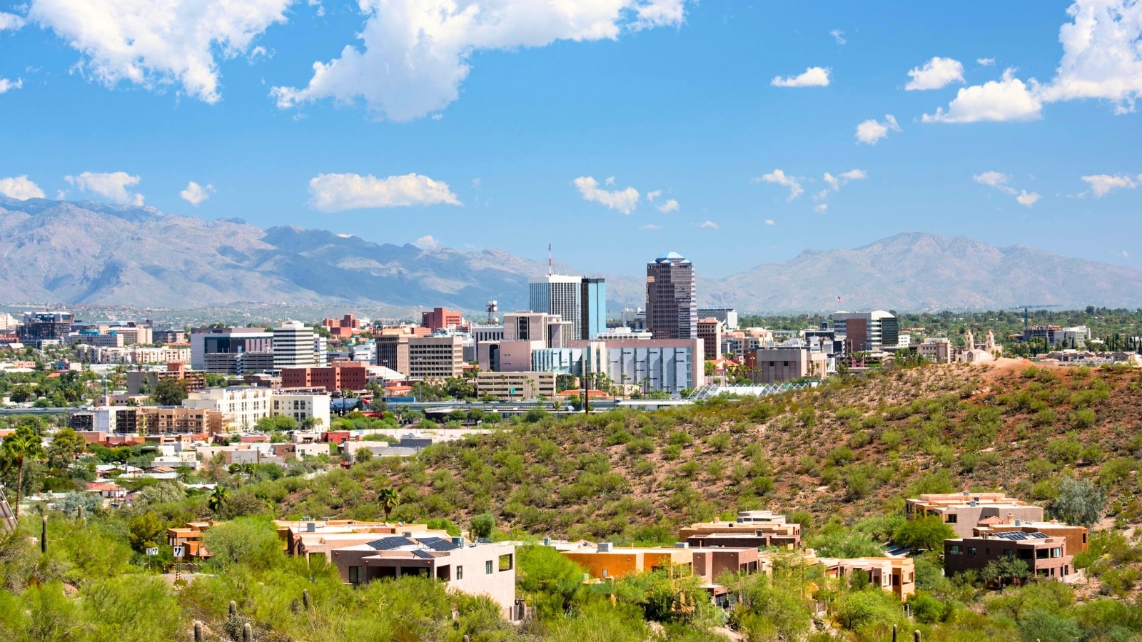 Tucson Activities That Will Make You Fall in Love With the Desert