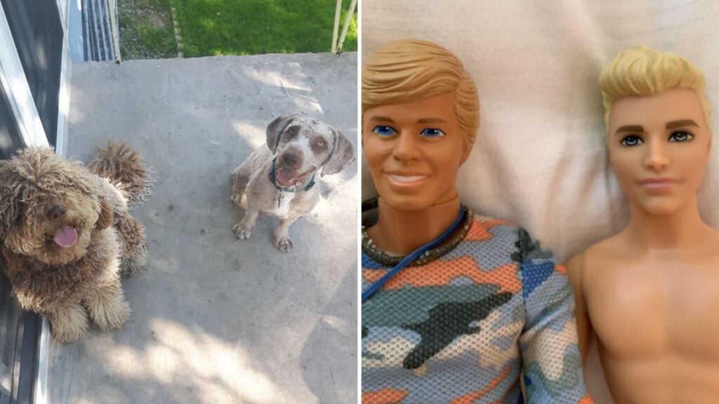 27 Comparison Photos That Put Things in Perspective