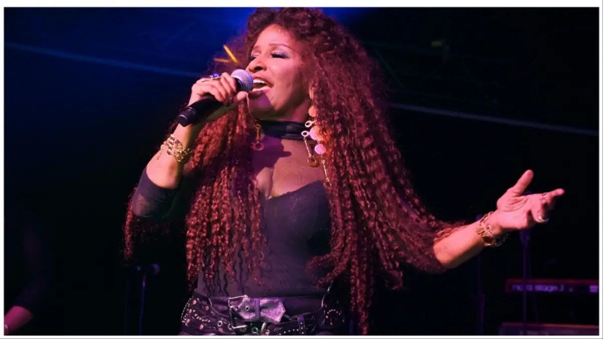 'Much More Beautiful With Clothes': Chaka Khan's ‘Inappropriate’ Outfit ...