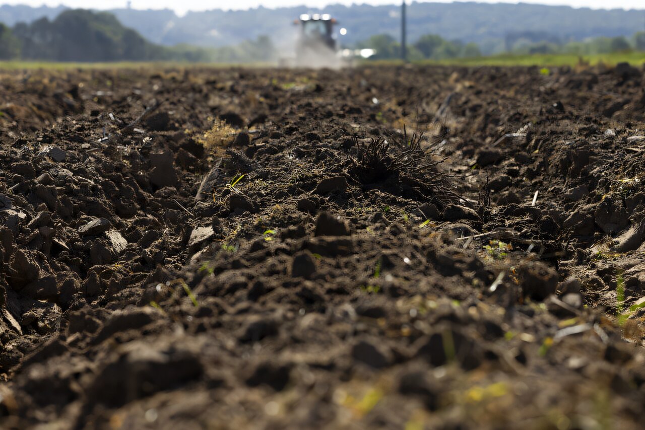 Publication reveals soil lab use, fertility findings for blackberries ...