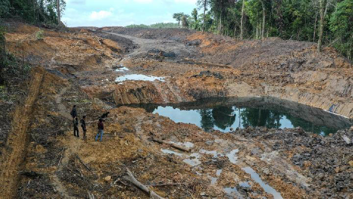 Mahasiswa Ungkap Tambang Masuk Hutan Pendidikan di Unmul, Ada Ancaman Ormas