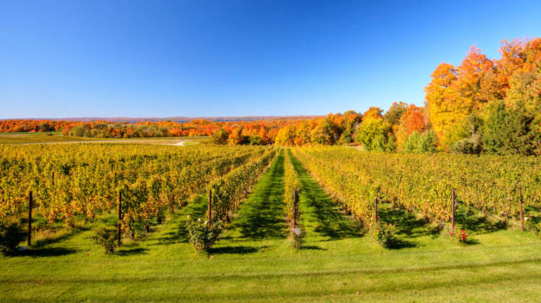 A Tip-Of-The-Mitten Michigan Village Hides Quiet Beaches, Scenic Trails ...